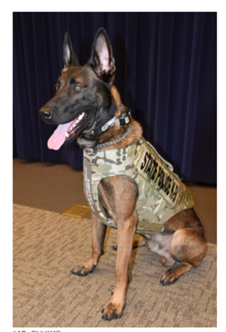 K9 Officer killed in the line of duty - WKBW.com Buffalo, NY