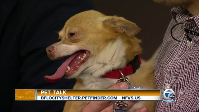 AM Buffalo and Mr. Food - Clips from the show and recipes | WKBW.com