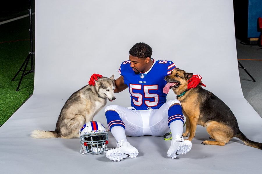 Buffalo Bills barking to get on the field - WKBW.com Buffalo, NY